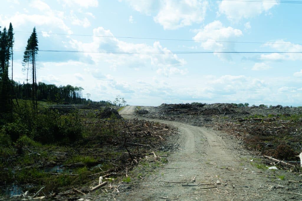 North of the 49th: Breaking Point – The Rover